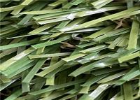 China Artificial Synthetic Grass 25mm 3m Wide Olive Green Flat Yarn Cream Yellow 8800d for sale
