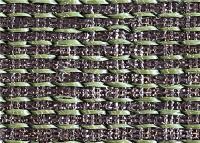 China 6mm 7mm 8mm Artificial Grass 1x4m 3m X 3m 3m X 5m No SBR For Fence 6600d for sale