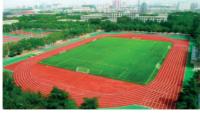 China Self Adhesive PU SBR Epdm Rubber Running Track UV Resistant Low Density for sale