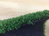 China 15mm Landscaping Artificial Grass For Golf Putting Green Synthetic Golf Turf for sale