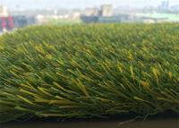 China 7000d Patio Outdoor Artificial Turf Rugs For Dogs Canola Flowers Canola Yellow  Colors for sale