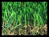 China Fake Landscaping Artificial Grass For Terrace Garden 4 Colors Straight Curly for sale