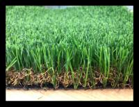 China Four colors 50mm  straight+curly, graden decorating,green belt green wall,fence decorating,12000dtex,c shape for sale