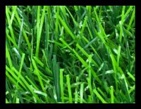 China 37mm 38mm 40mm Landscaping Artificial Grass Flat Monofilament 3 Green Colors 4800 Detx for sale