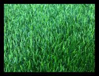 China 37mm 38mm 40mm Landscaping Artificial Grass Flat Monofilament 3 Green Colors 4800 Detx for sale