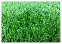 China 7000D Synthetic Artificial Grass For Gym Leisure Area Playground  Kindergarten Floor Fence for sale