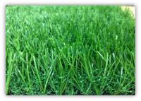 China Diamond 10x10 1 Metre Square Artificial Grass For Play Area Two Colors 8500 dtex for sale