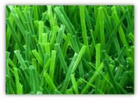 China Diamond 10x10 1 Metre Square Artificial Grass For Play Area Two Colors 8500 dtex for sale