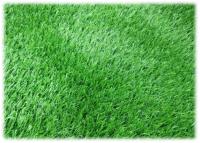 China 8500D Field Green Artificial Grass Pet Mat Puppy Cat Kitten House Faux Grass Pee Pad for sale