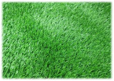 China 8500D Field Green Artificial Grass Pet Mat Puppy Cat Kitten House Faux Grass Pee Pad for sale