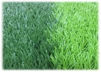 China 6600d Green Artificial Grass Yarn Flat Pe Monofilament Yarn for sale
