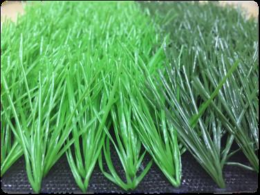 China Two Green C Shaped Yarn Artificial Grass 5 Metres Wide 7m X 4m for sale