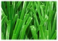 China Curly Straight Monofilament Grass Yarn With Stem 8800 Dtex for sale