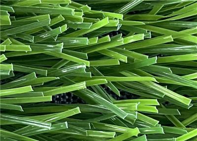 China S Shaped PP Monofilament Yarn 2 Green Colors Mix 13500 Detex for sale