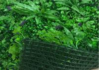 China Outdoor Vertical Garden Artificial Green Panels Artificial Plant Wall Panels for sale