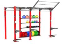 China Home Gym Rigs And Racks Free Standing Wall Mounted Crossfit Rack for sale