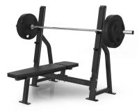 China Inclined Fitness Rigs Fitness Barbell Bench Press Rack Workout Parallel for sale