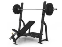 China Inclined Fitness Rigs Fitness Barbell Bench Press Rack Workout Parallel for sale