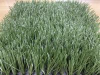China 9000D 50mm Diamond shape soccer artificial grass,  school football field  artificial turf ,field dark green for sale