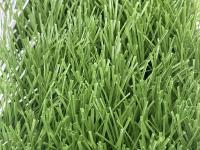 China 7000D 50mm C shape Football artificial grass, schoole soccer field,light green and olive green, monofilament yarn for sale