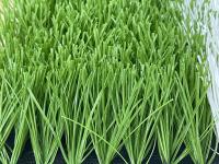 China 7000D 50mm C shape Football artificial grass, schoole soccer field,light green and olive green, monofilament yarn for sale