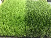 China cheap football grass for kindergarten, primary school, middle school，turf 30mm 31500density for sale