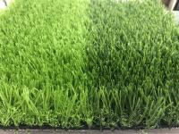 China multifunctional grass cheap grass for kindergarten, PE material grass primary school, middle school，green color turf for sale