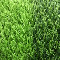 China multifunctional grass cheap grass for kindergarten, PE material grass primary school, middle school，green color turf for sale