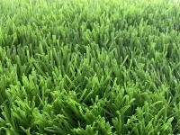China 5x5 Futsal Artificial Grass Football Field With Fleece Infill Football Turf 10500 Density for sale
