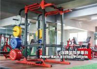 China Mobile Handles Chest Press Flying Chin Up SGS Power Rack Gym for sale