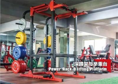 China Mobile Handles Chest Press Flying Chin Up SGS Power Rack Gym for sale