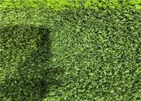 China High Dtex Straighten Yarn 50mm Futsal Grass With Unfilled Curly Yarn for sale
