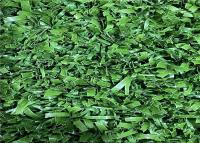 China High Dtex Straighten Yarn 50mm Futsal Grass With Unfilled Curly Yarn for sale
