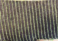 China Water Drainage Heat Treatment Polypropylene Artificial Grass 7000 Dtex for sale