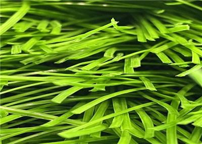 China 8800d 200 Stitches 50mm 3/4 Inch Gauge Sport Artificial Grass for sale