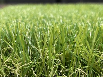China Polypropylene Rohs 30mm Artificial Turf Grass for sale