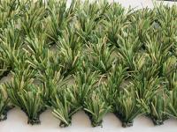 China synthetic grass cooperated with ture grass net shape artificial grass for gardening for sale