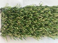 China synthetic grass cooperated with ture grass net shape artificial grass for gardening for sale