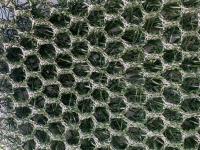 China recyclable synthetic grass cooperated with ture grass net shape artificial grass for gardening wall decoration for sale
