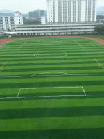 China S Shape 8800D Football Artificial Grass For Soccer Playground for sale