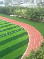 China S Shape 8800D Football Artificial Grass For Soccer Playground for sale