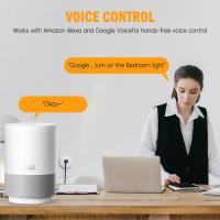 China Home Wireless WIFI Smart Socket Plug For Alexa 5ghz 240V 1800W for sale