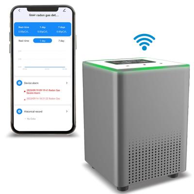 China 12V Home Smart Radon Monitor Detector Pulse Ion Chamer Sensor for sale