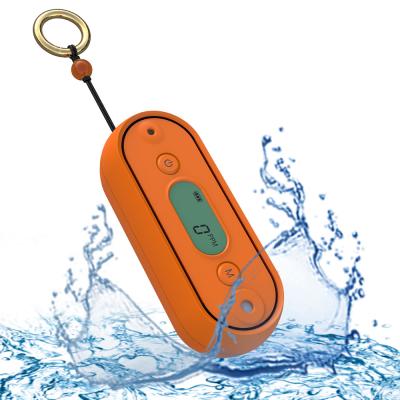 China IP67 Handheld Portable Carbon Monoxide Alarm CO Gas Detector For Basement Garage for sale