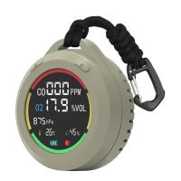 China PT08 Electrochemical Sensor CO Alarm - Portable Sound-Light Alert, 300-1100hPa Home/Garage/RV for sale