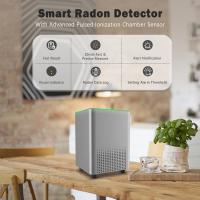 China 2026 Best Smart Home Radon Monitor - Digital Radon Gas Detector Compatible with Android & iOS for sale