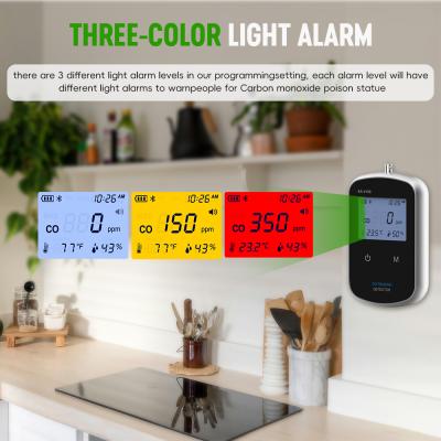China OEM WiFi Carbon Monoxide Detector, Portable CO Alarm, 2.4GHz Monitoring for sale