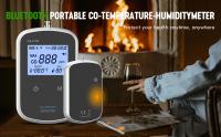 China The Ultimate Travel CO Detector - Ultra-Portable Carbon Monoxide Alarm for Hotel Rooms, Airbnbs & Air Travel - Lightweight & USB Rechargeable for sale