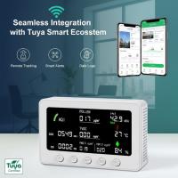 China CE FCC Certified OEM ODM Smart Tuya 10-in-1 IAQ Detector PM1.0/PM2.5/CO2/CO/TVOC/POLLEN/AQI Monitor with RS485 for sale