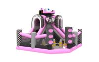 China Pvc Tarpaulin Inflatable Fun City Crazy Racing With Purple Slide for sale